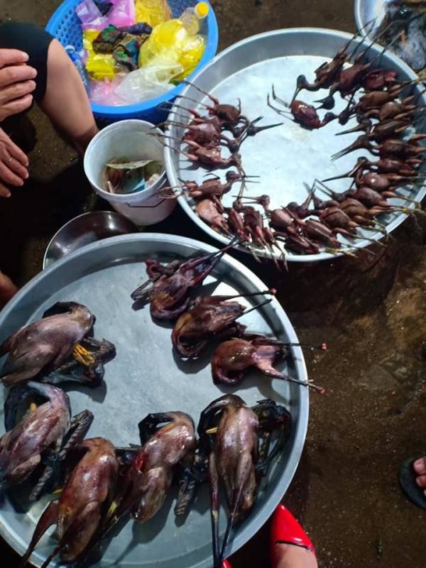 Mùa Đông về Quảng Trị thưởng thức món chim Dạt rim thơm ngon, béo ngậy ...