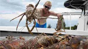 Nếu biết trước đây tôm hùm rẻ rúng đến thế nào, bạn sẽ phải bất ngờ