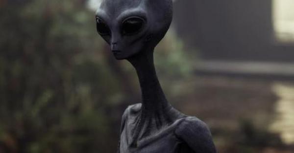 Let’s Find Out: What Are Grey Aliens According To Ufologists