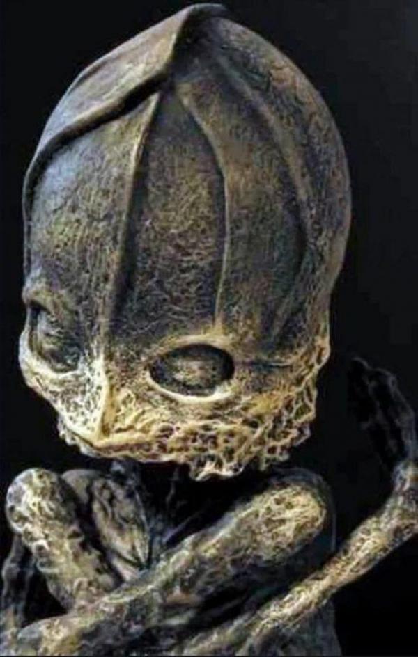 The truth behind the "alien dwarf" body less than 25 cm long - Archyde